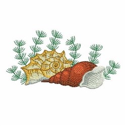 Conch Shells Embroidery Design | EmbroideryDesigns.com