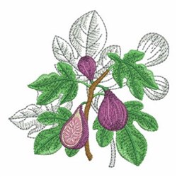 Realistic Figs Embroidery Design | EmbroideryDesigns.com