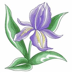 Iris Flower Embroidery Design | EmbroideryDesigns.com