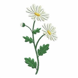 Mountain Aster Embroidery Design | EmbroideryDesigns.com