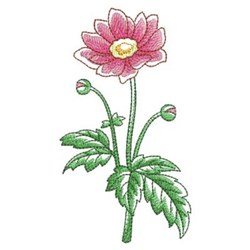 Anemone Embroidery Design | EmbroideryDesigns.com