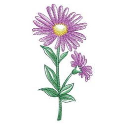 Aster Embroidery Design | EmbroideryDesigns.com