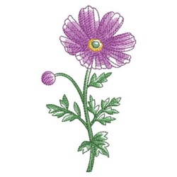 Cosmos Embroidery Design | EmbroideryDesigns.com