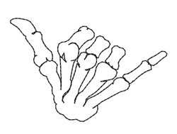 Shaka Sign Embroidery Design | EmbroideryDesigns.com