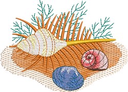 Shoreline Shells Embroidery Design | EmbroideryDesigns.com