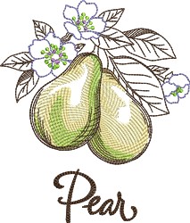 Pear Embroidery Design | EmbroideryDesigns.com