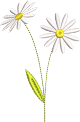 Daisies Embroidery Design | EmbroideryDesigns.com