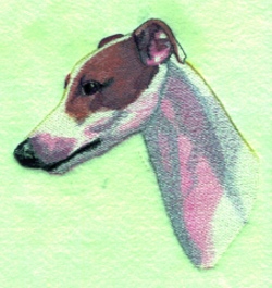 Greyhound Embroidery Design | EmbroideryDesigns.com