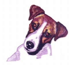 Jack Russell Embroidery Design | EmbroideryDesigns.com