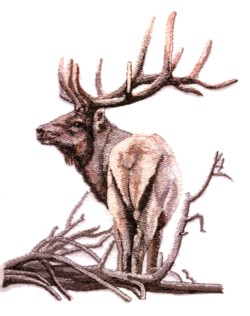 Small Elk Embroidery Design | EmbroideryDesigns.com
