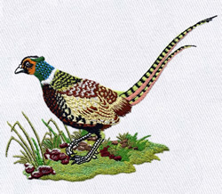 Ring-necked Pheasant Embroidery Design | EmbroideryDesigns.com