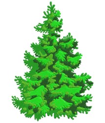 Evergreen Tree Embroidery Design | EmbroideryDesigns.com