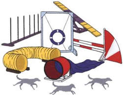 Dog Agility Collage Embroidery Design | EmbroideryDesigns.com