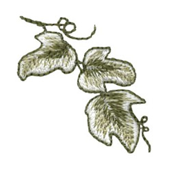Ivy Embroidery Design | EmbroideryDesigns.com