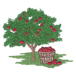 Apple Tree Embroidery Design | EmbroideryDesigns.com