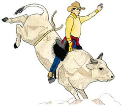 Bull Rider Embroidery Design | EmbroideryDesigns.com