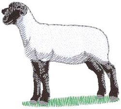 Suffolk Sheep Embroidery Design | EmbroideryDesigns.com