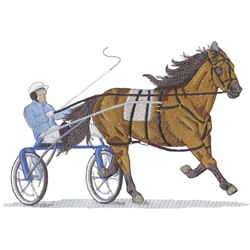 Sulky Racer Embroidery Design | EmbroideryDesigns.com