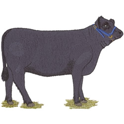 Show Heifer Embroidery Design | EmbroideryDesigns.com