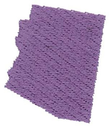 Arizona State Embroidery Design | EmbroideryDesigns.com