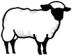 Sheep Outline Embroidery Design | EmbroideryDesigns.com