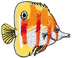 Long-nosed Angelfish Embroidery Design | EmbroideryDesigns.com