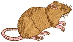 Rat Embroidery Design | EmbroideryDesigns.com