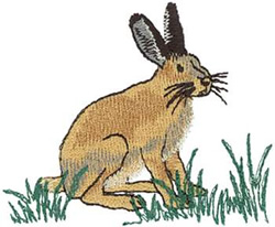 Jack Rabbit Embroidery Design | EmbroideryDesigns.com