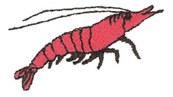 Shrimp Embroidery Design | EmbroideryDesigns.com