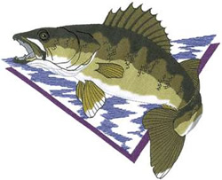 Walleye Embroidery Design | EmbroideryDesigns.com