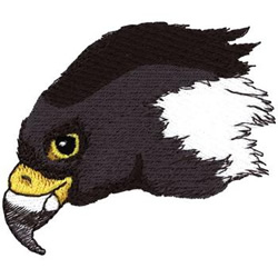 Falcon Embroidery Design | EmbroideryDesigns.com