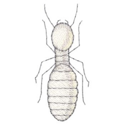 Worker Termite Embroidery Design | EmbroideryDesigns.com