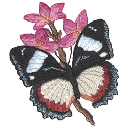 The Gladiator Embroidery Design | EmbroideryDesigns.com