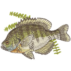 Bluegill Embroidery Design | EmbroideryDesigns.com