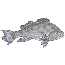 Black Sea Bass Embroidery Design | EmbroideryDesigns.com