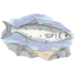 Bluefish Embroidery Design | EmbroideryDesigns.com