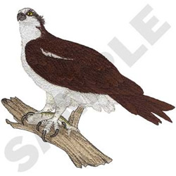 Osprey Bird Embroidery Design | EmbroideryDesigns.com