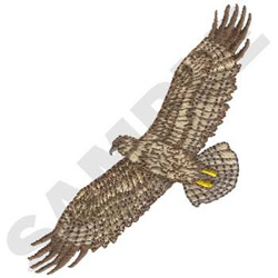 Hawk Embroidery Design | EmbroideryDesigns.com