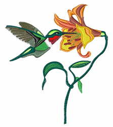 Hummingbird Embroidery Design | EmbroideryDesigns.com