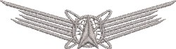 Air Force Space Badge Embroidery Design | EmbroideryDesigns.com
