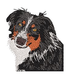 Australian Shepherd Embroidery Design | EmbroideryDesigns.com