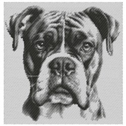 Boxer Dog Embroidery Design | EmbroideryDesigns.com
