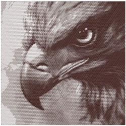 Eagle's Gaze Embroidery Design | EmbroideryDesigns.com