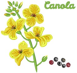Canola Flower Embroidery Design | EmbroideryDesigns.com