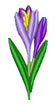 Free CROCUS Embroidery Design | EmbroideryDesigns.com
