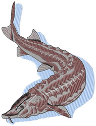 Sturgeon Embroidery Design | EmbroideryDesigns.com