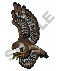 HAWK Embroidery Design | EmbroideryDesigns.com