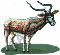 ADDAX Embroidery Design | EmbroideryDesigns.com
