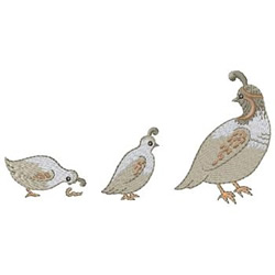 Partridge Embroidery Design | EmbroideryDesigns.com