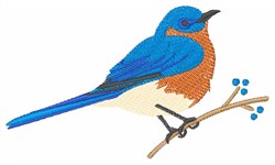 Eastern Bluebird Embroidery Design | EmbroideryDesigns.com